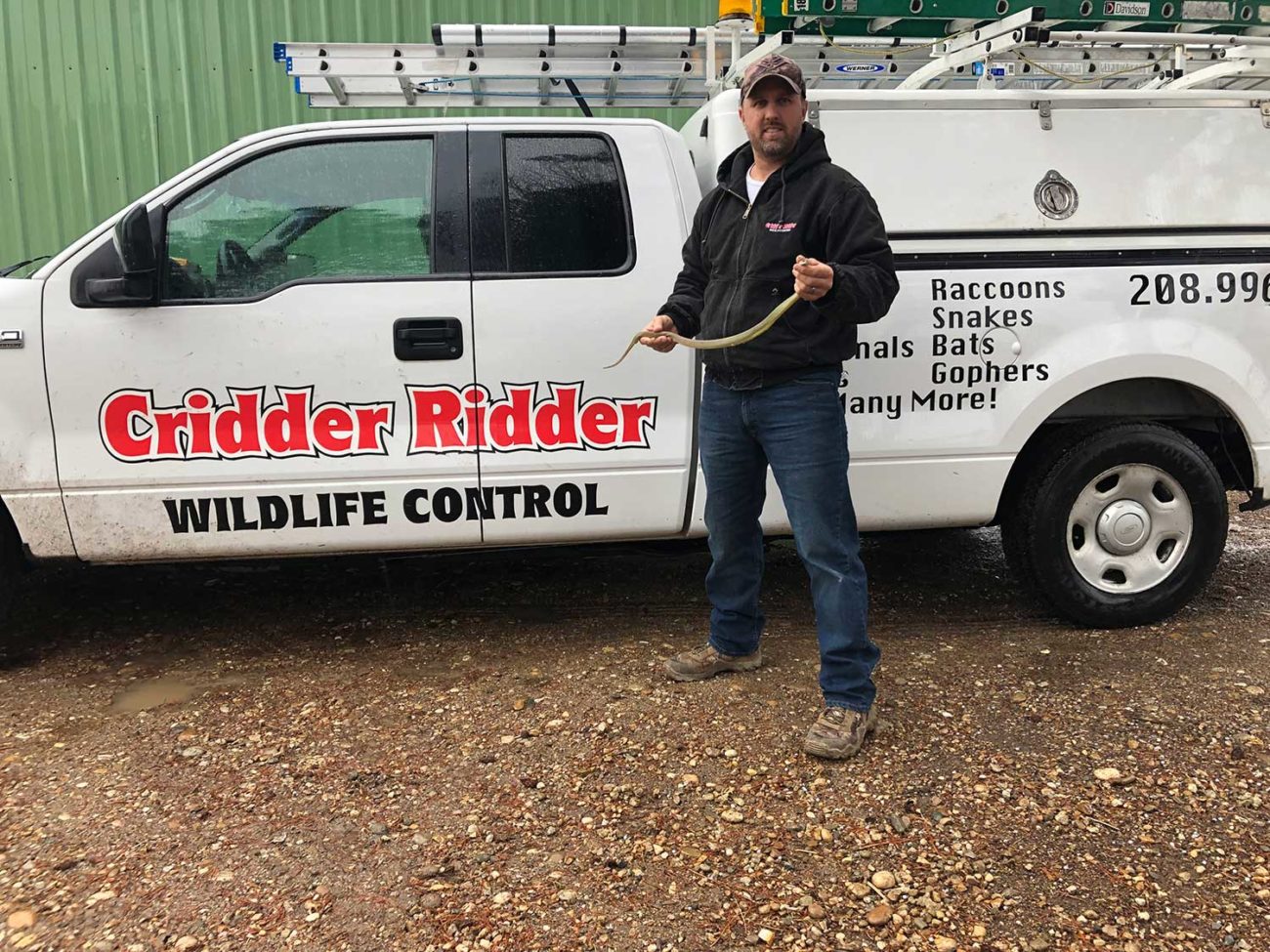 Pest Control in Boise and Meridian, ID- Ada County Exterminators